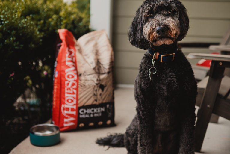 How to Store Dog Food Properly | Wholesomes Pet Food