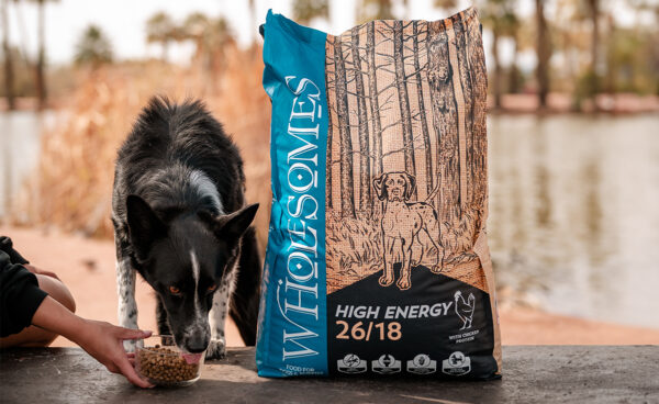 High Energy vs. Low Energy Dog Breeds - Wholesomes Pet Food